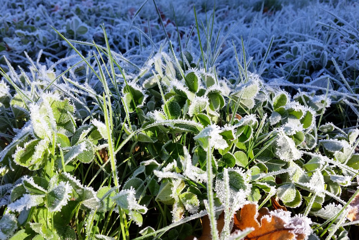 Naktī valsts austrumu daļā gaisa temperatūra noslīdēs nedaudz zem ...