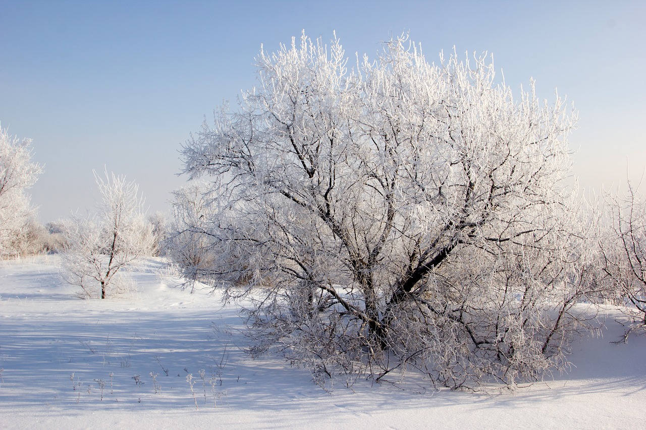 Vakarā austrumu novados gaisa temperatūra noslīdēs zem -20 grādiem ...