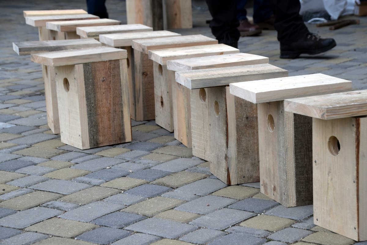 Lai putnu būrītis nekļūtu par slazdu - Valmieras Ziņas