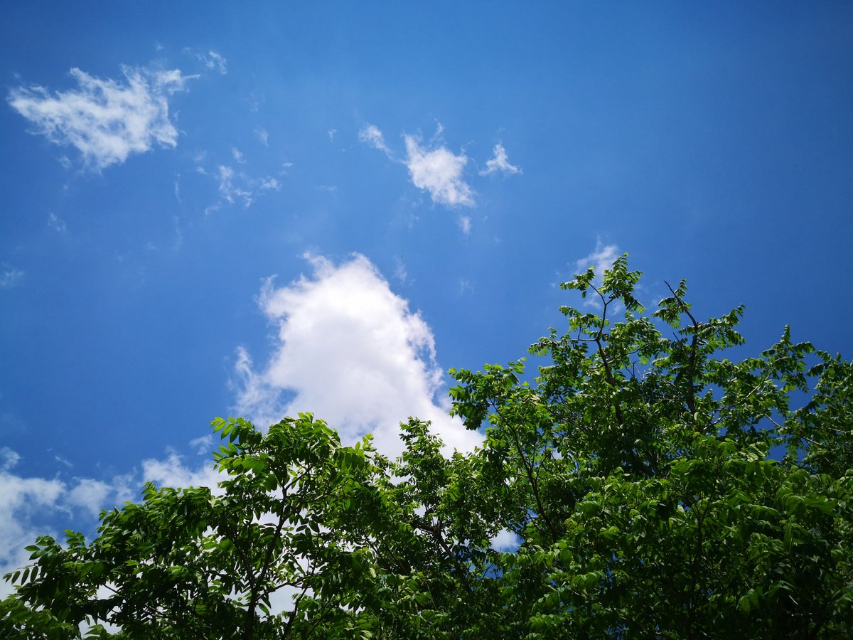 Arī pirmdien vietām īslaicīgi līs un gaiss iesils līdz 23 grādiem ...