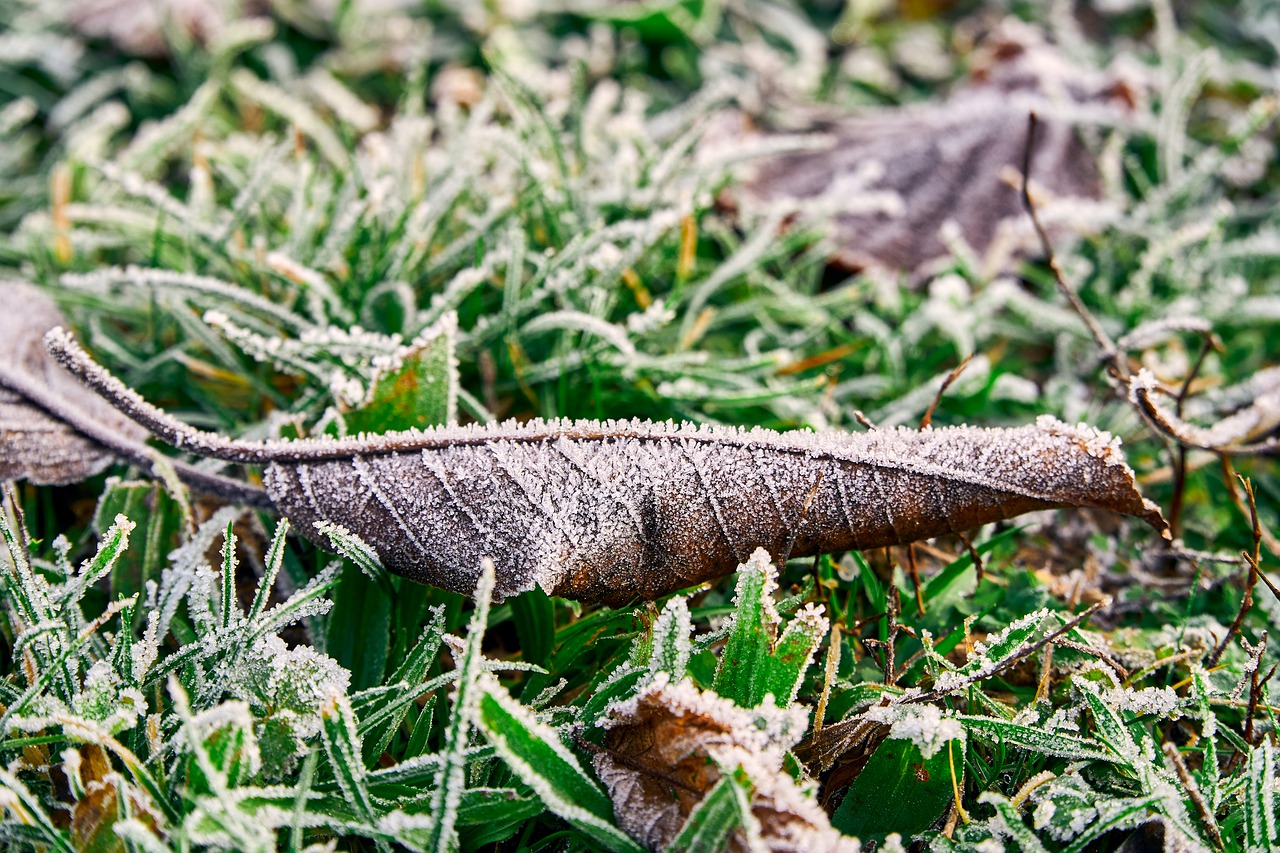 Piektdienas rīts daudzviet būs aukstākais šonedēļ - Valmieras Ziņas