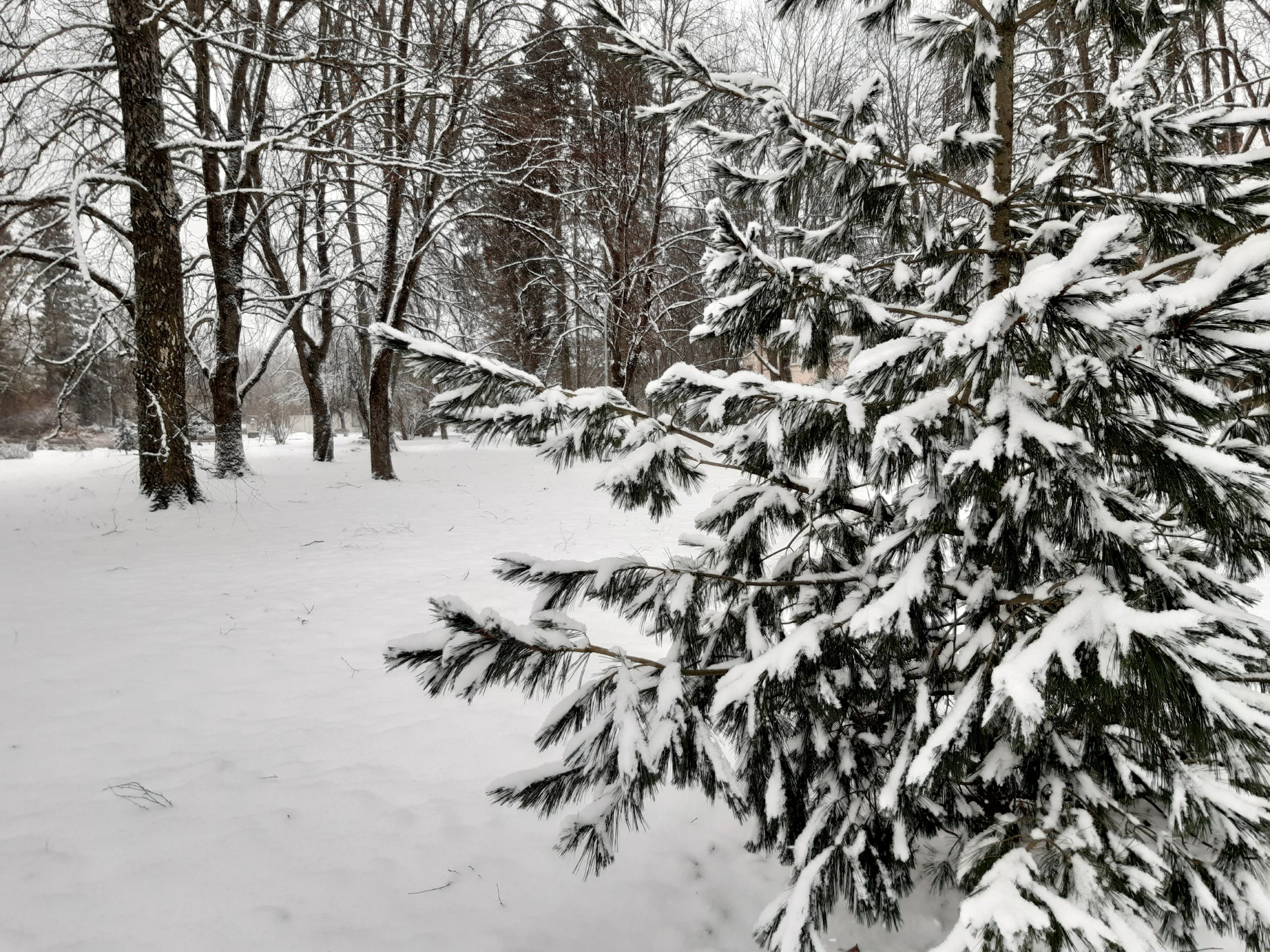 Svētdien gaidāms sniegs un valsts rietumos iespējama arī atkala ...