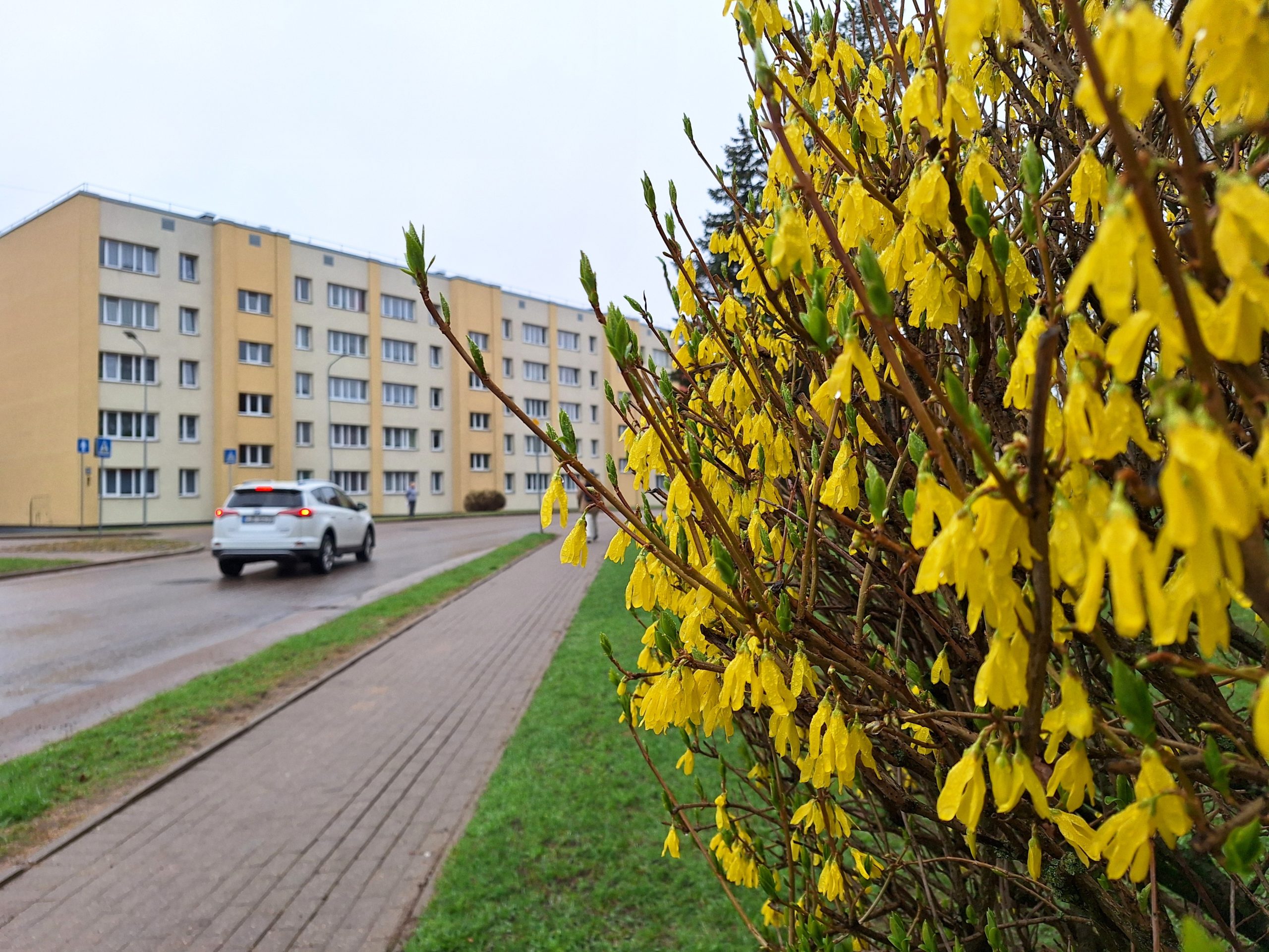 Trešdien debesis apmāksies un daudzviet līs - Valmieras Ziņas